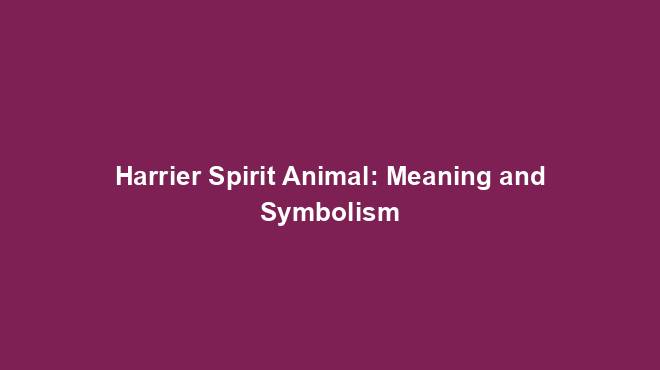 Harrier Spirit Animal: Meaning and Symbolism - Spiritual Animal Wisdom