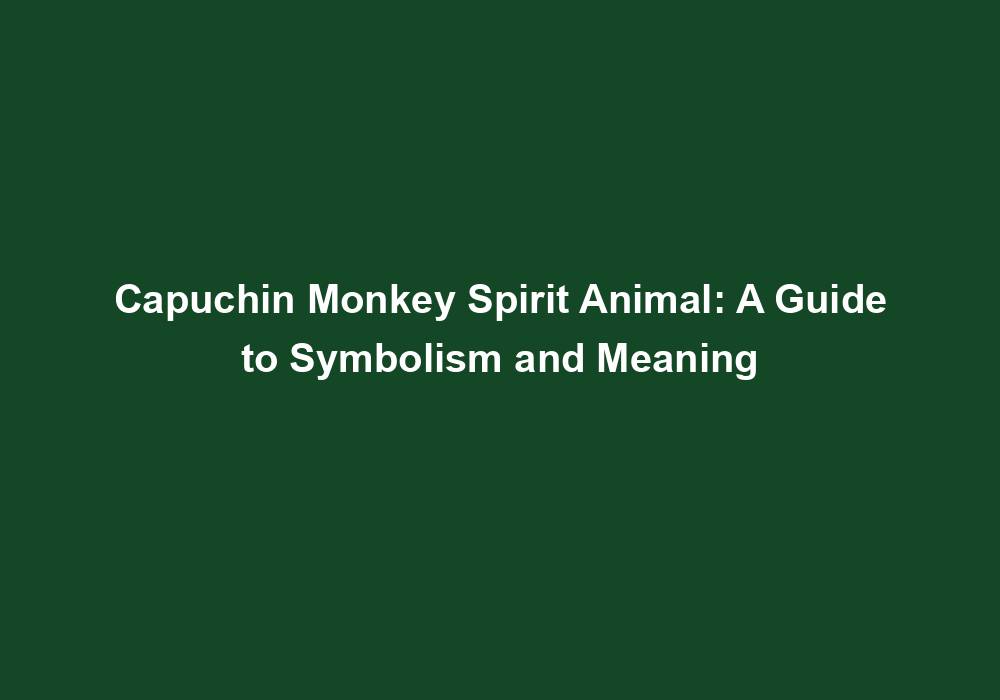 Capuchin Monkey Spirit Animal: A Guide to Symbolism and Meaning ...