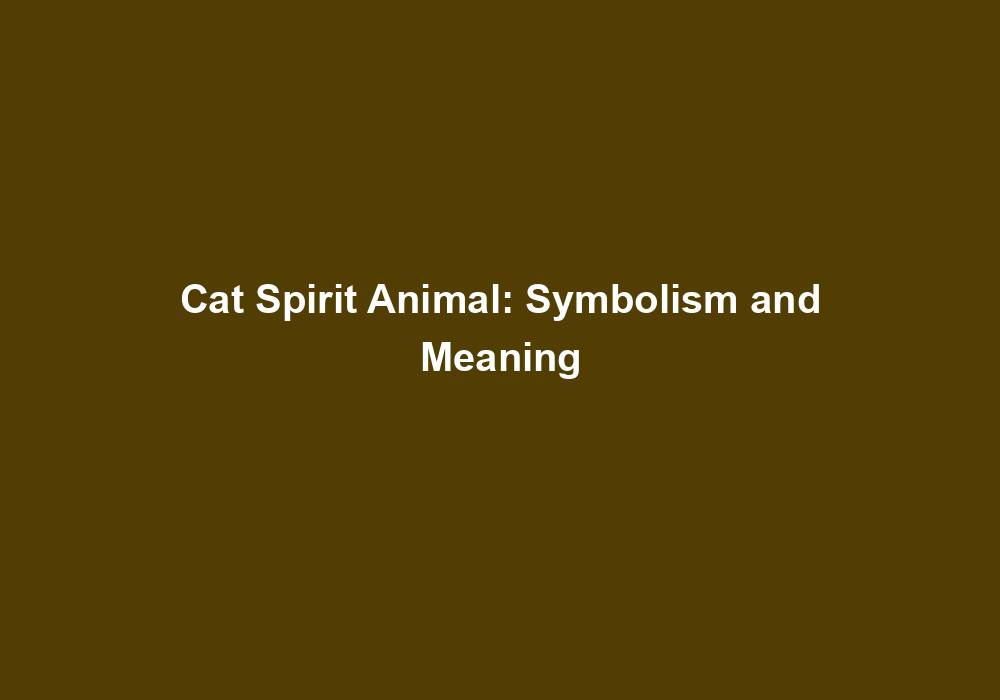 Cat Spirit Animal: Symbolism and Meaning - Spiritual Animal Wisdom