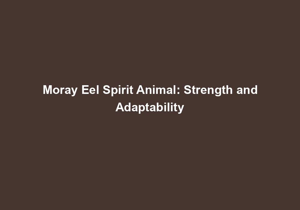 Moray Eel Spirit Animal: Strength and Adaptability - Spiritual Animal ...