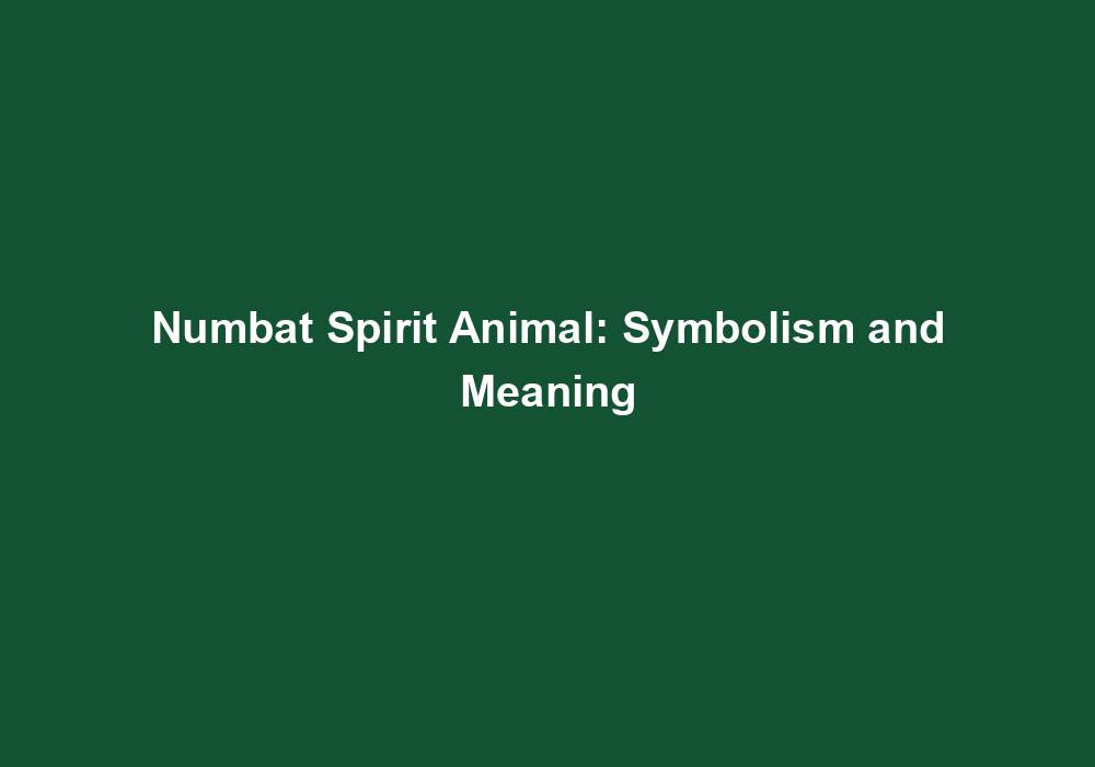 Numbat Spirit Animal: Symbolism and Meaning - Spiritual Animal Wisdom