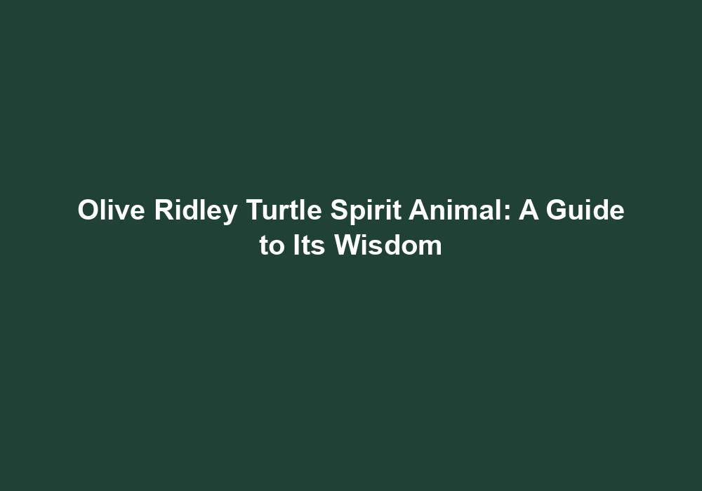 Olive Ridley Turtle Spirit Animal: A Guide to Its Wisdom - Spiritual ...
