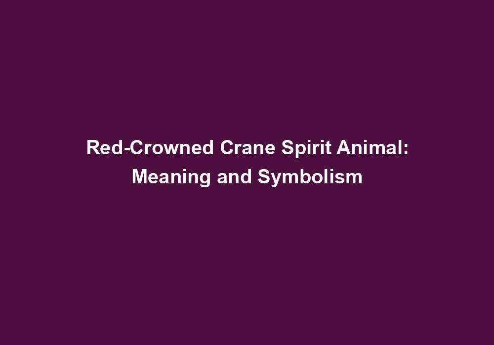 Red-Crowned Crane Spirit Animal: Meaning and Symbolism - Spiritual ...