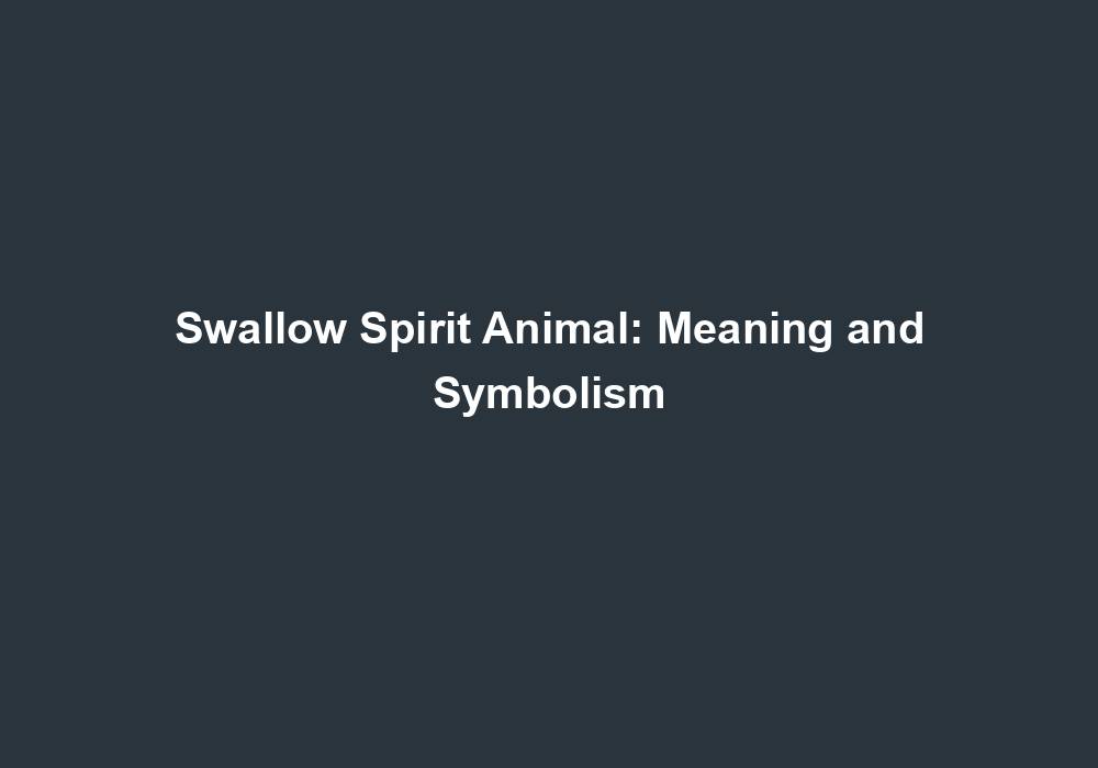 Swallow Spirit Animal: Meaning and Symbolism - Spiritual Animal Wisdom